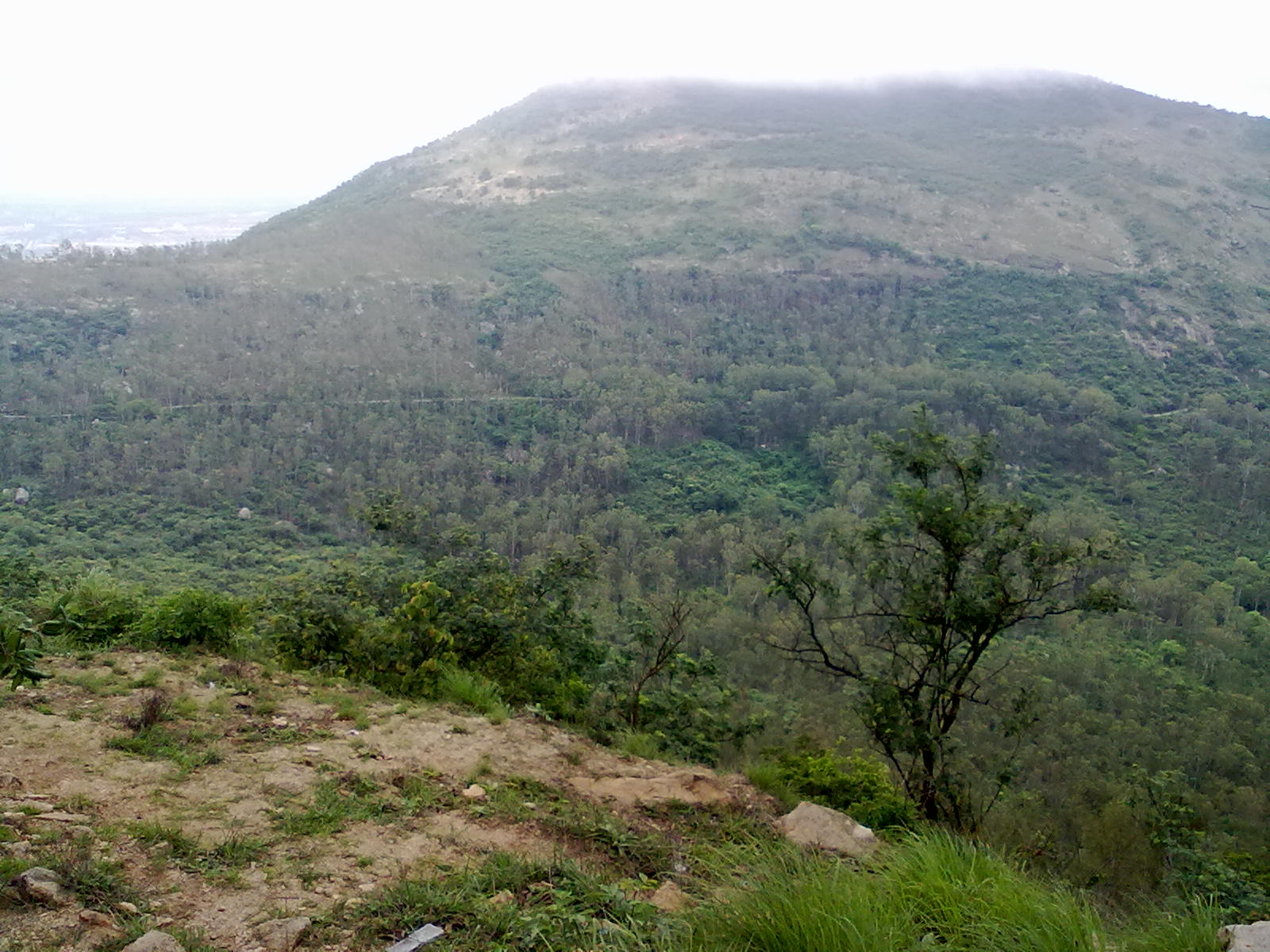 Road trip to Nandi hills – Freaky Travel